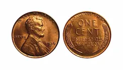 Penny Grading Guide: Understanding the Coin Grading Scale with Valuable ...