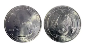 2020 Bat Quarter Value Guide: Worth, Errors, and Rare Varieties | Coin ...