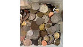 Free Foreign Coin Identifier App for Coin Values and Identification